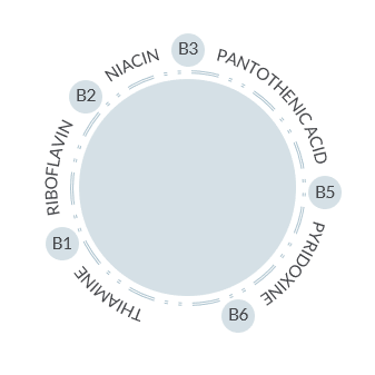 IM Vitamin Shots in Salt Lake City, UT - Fika Infusion + Wellness